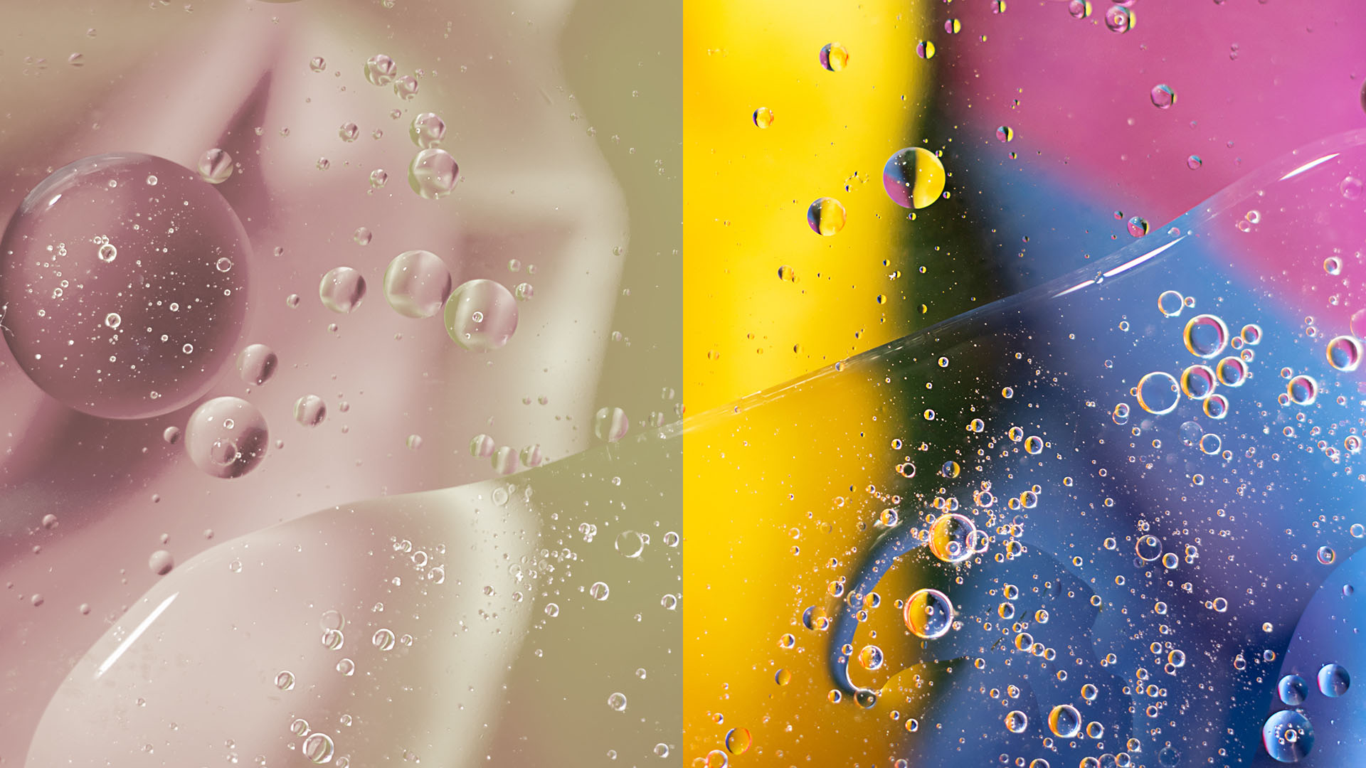 Edit like a pro: How to effectively use LUTs